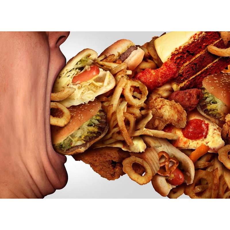 Les causes de la "mal bouffe" | AGS Pulse