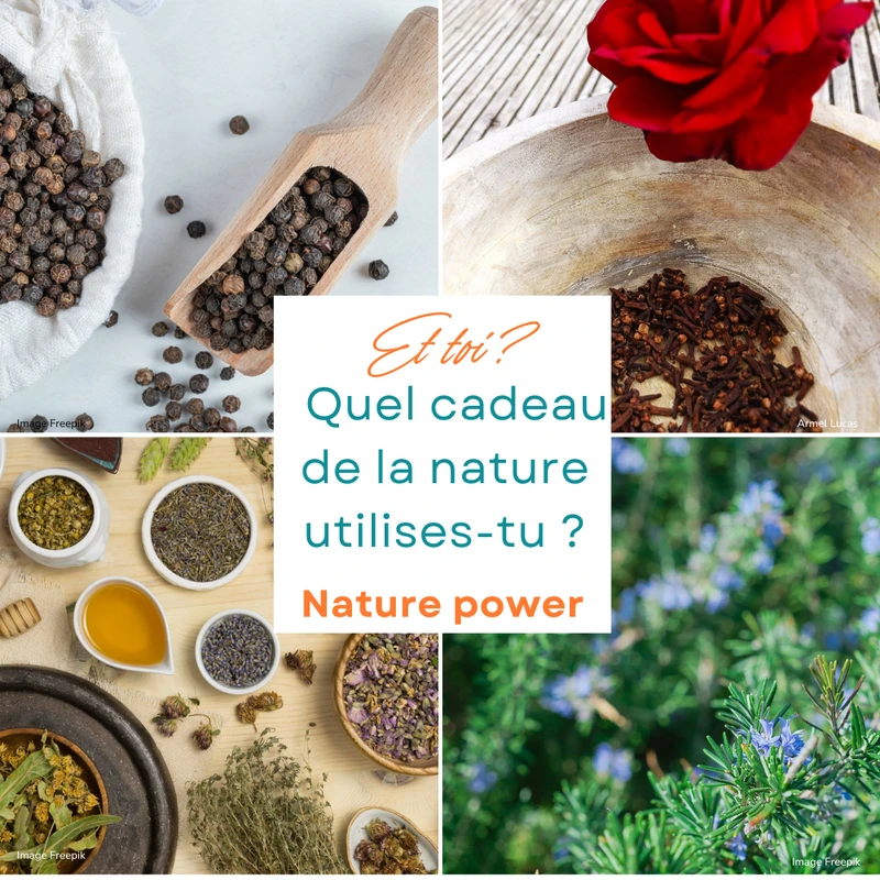 De vraies stars | AGS Pulse