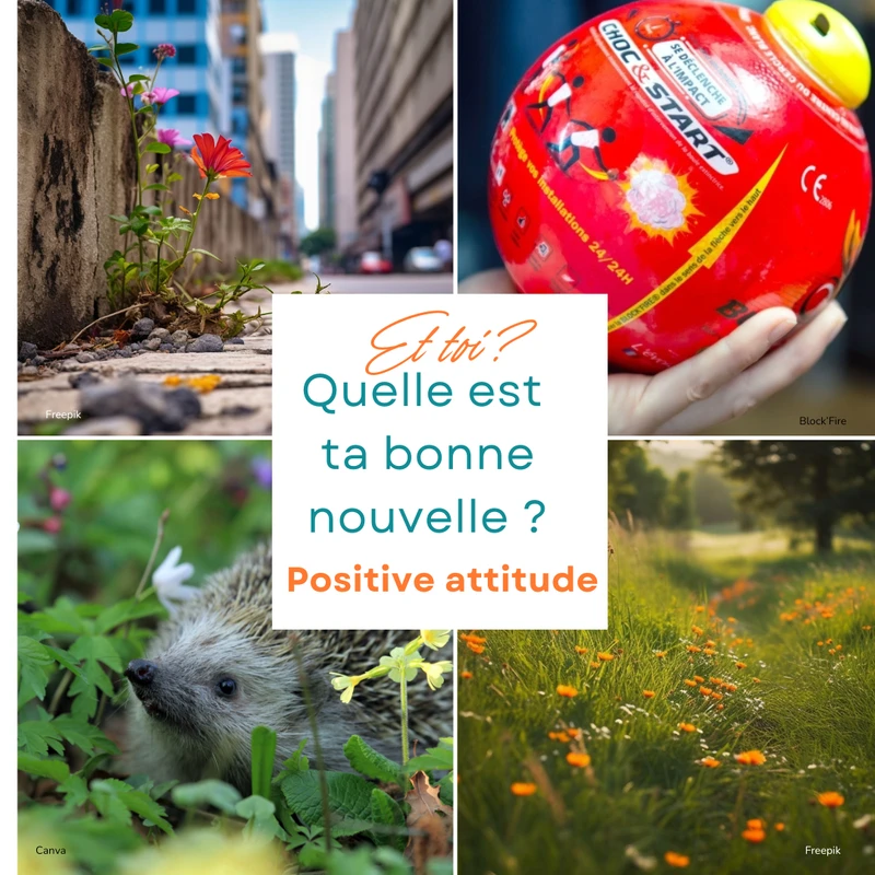 Vers un monde meilleur | AGS Pulse